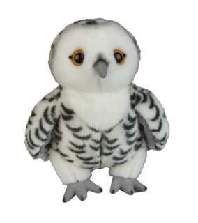 Snowy Owl 28cm. DONATION – Huxley's Birds of Prey Centre and Garden